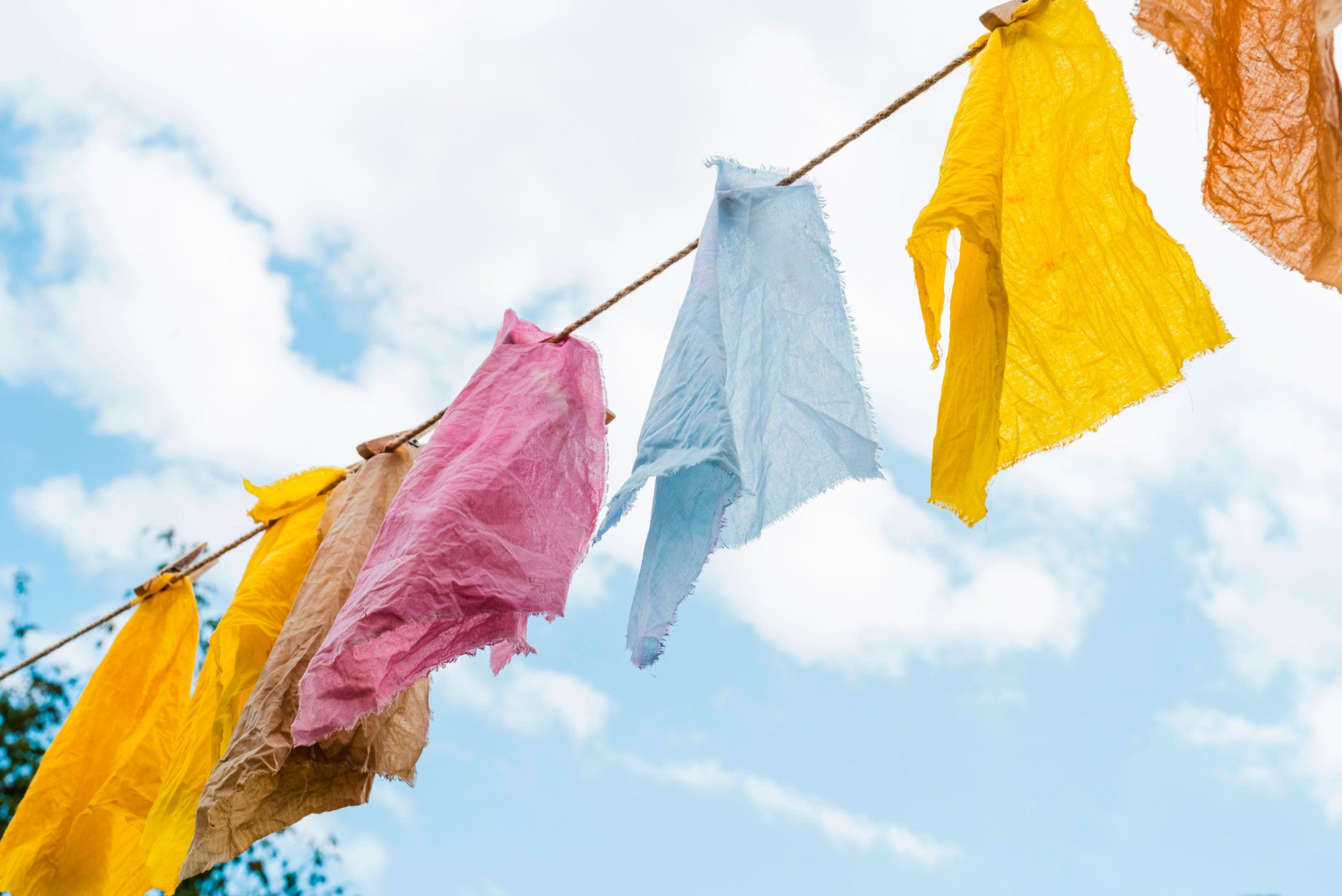 Dryers – Walkers Studios Ltd